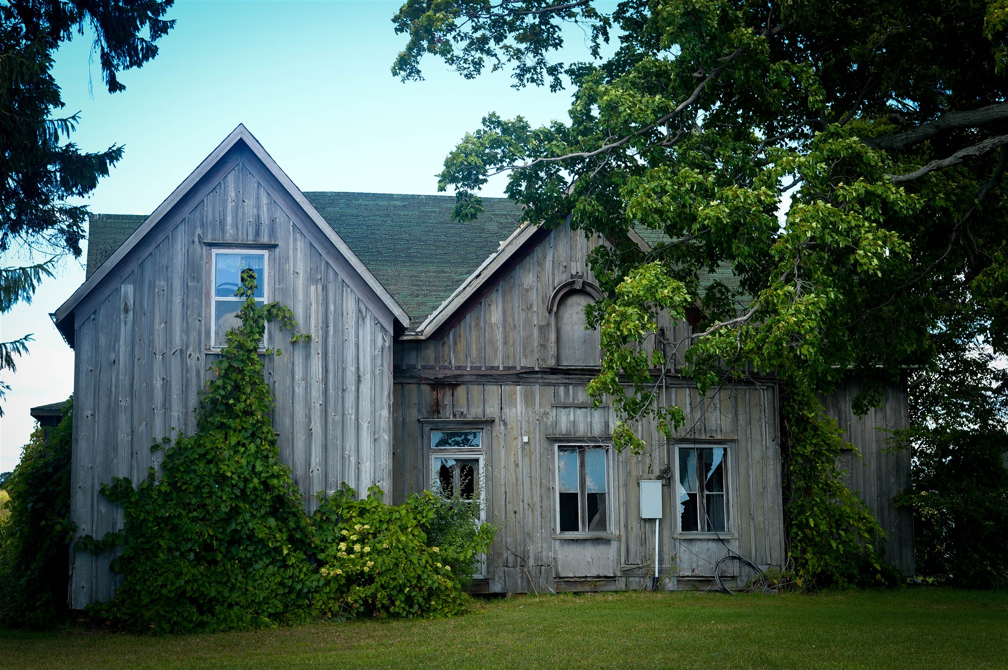 dsc_0183 | The County Bandits